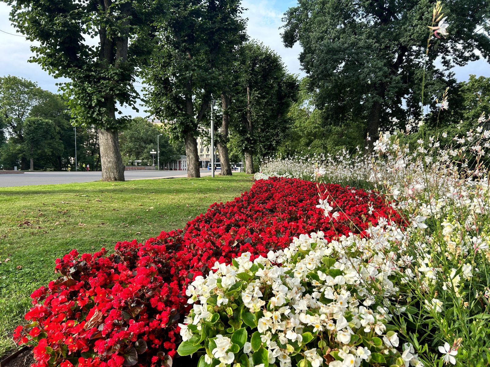 RĪGAS MEŽI atklās vasaras galvaspilsētas puķu dobes; šogad tās veltītas ...